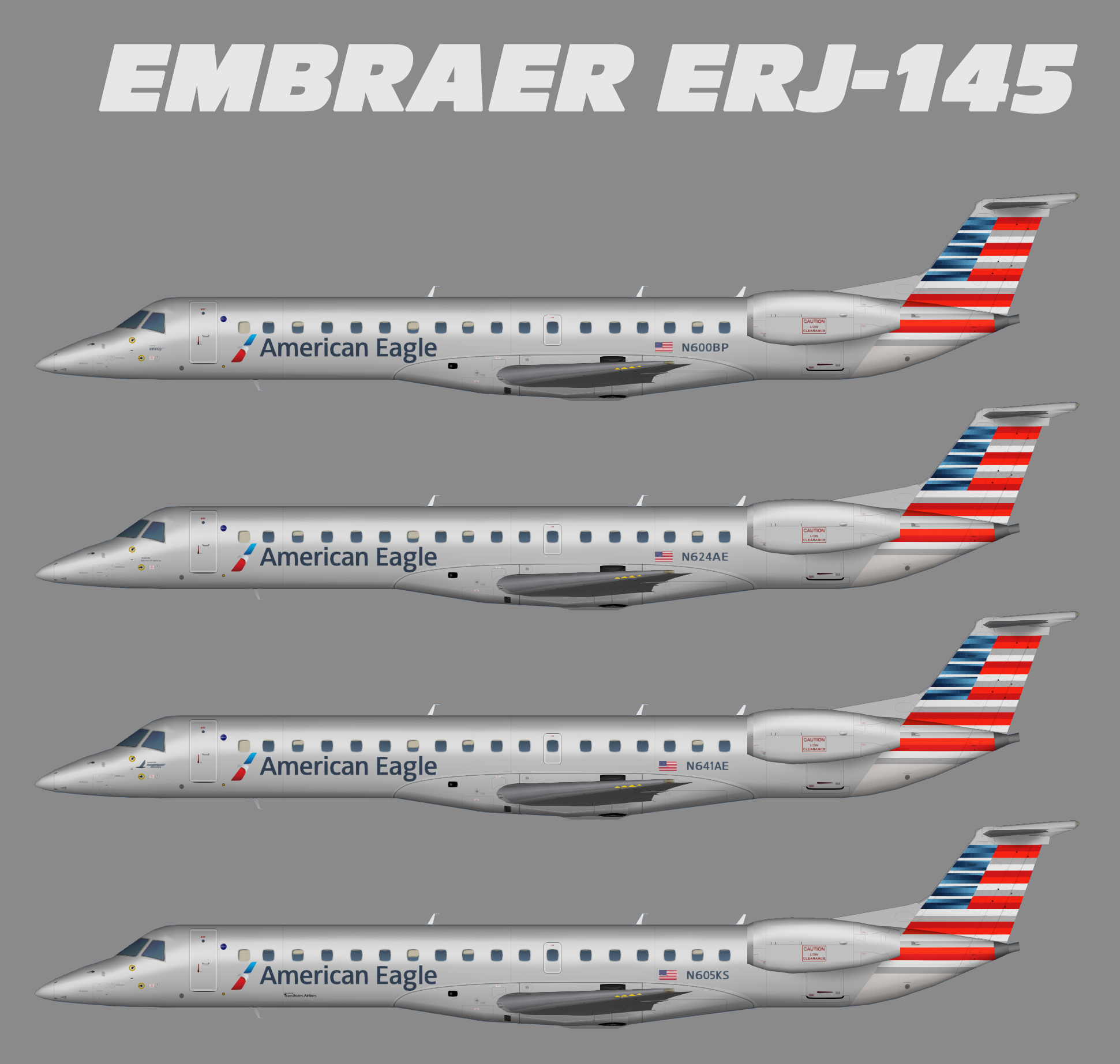 American Eagle S Fsx American Eagle S Fsx